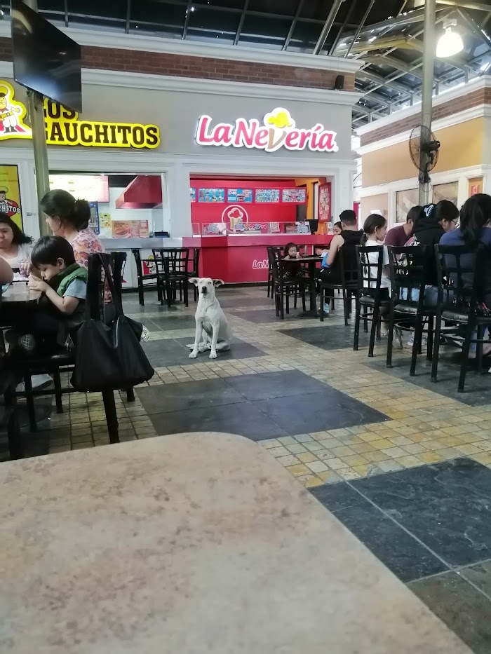 C.C. Flores del Lago